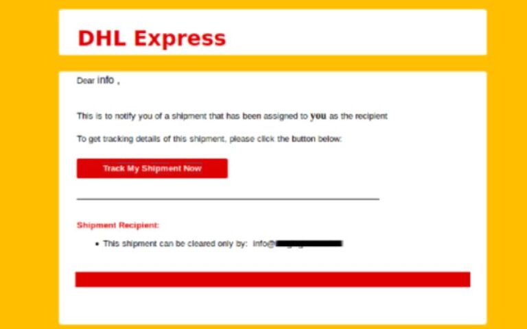 What Does “Given a Release Status” Mean for a DHL Shipment?